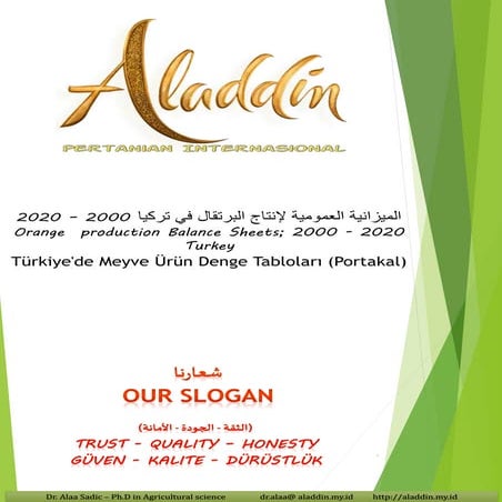 Turkish Orange production balance sheets; 2000-2020.pptx