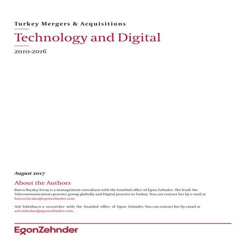 Turkish Technology Sector M&A report 2017 | PDF