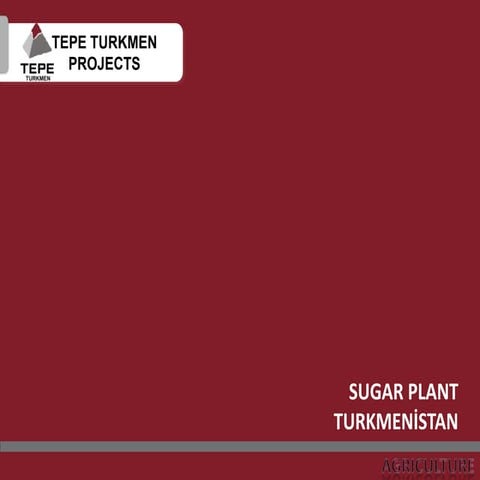 Turkmenistan Sugar Plant Project - Tepe Agriculture Special | PPTX