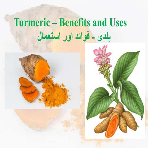 Turmeric | PPTX