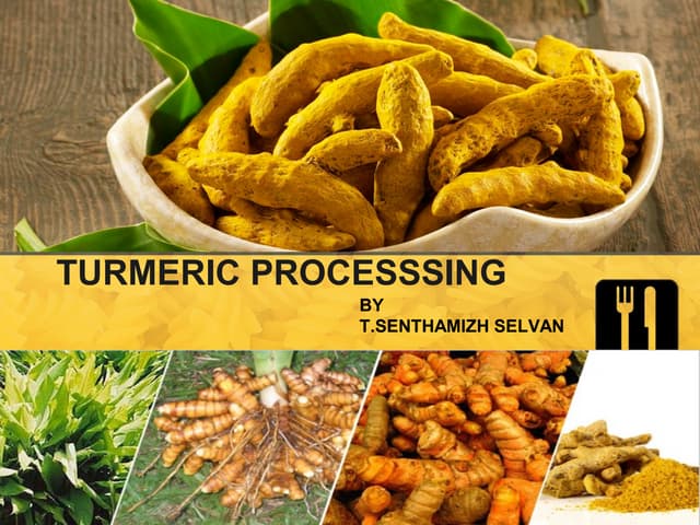 turmeric cultivativation , production technology of turmeric | PPTX