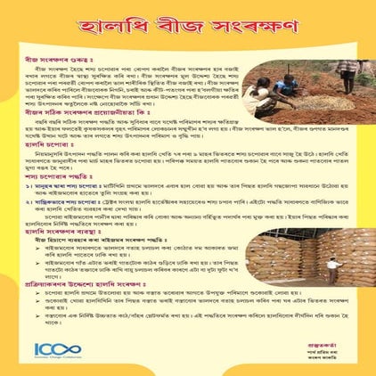 Turmeric Seed Storage (Assamese) | PDF