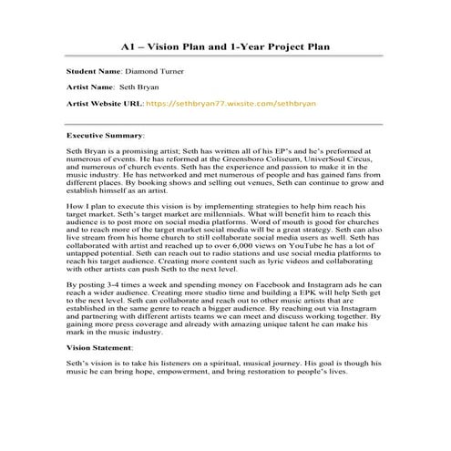 TurnerDiamond_VisionPlan.pdf