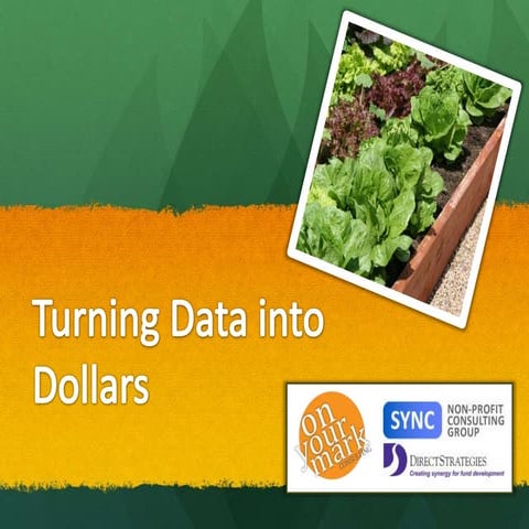 Turning Data into Dollars | PPT