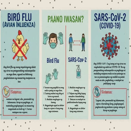 Bird flu and SARS-CoV-2-its about what is bird flu and SARS-CoV-2, and ...