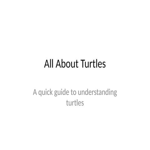 Turtle_Information_Presentation 2025.pptx