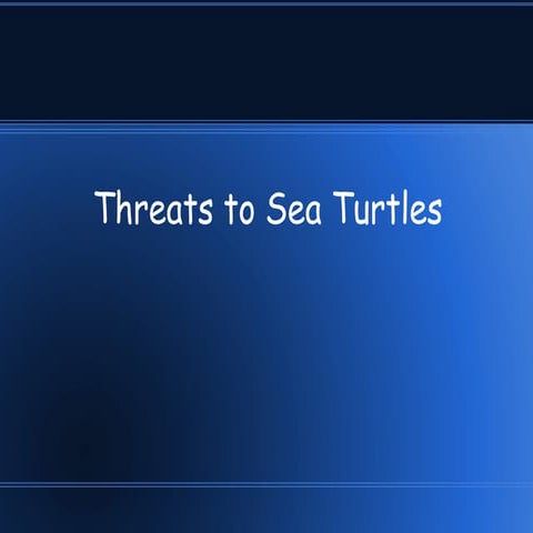 Sea turtles | PPT