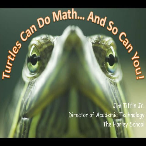 Turtles Can Do Math, and So Can You! | PPTX