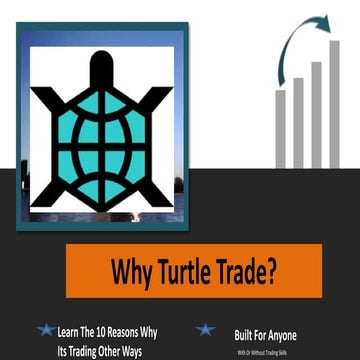 Turtle trade advantages | PPTX