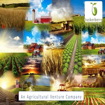 Tusker Berry ( Agri Ventures ) 2018 | PPTX