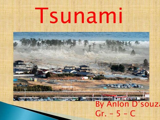 project on Tsunami | DOCX