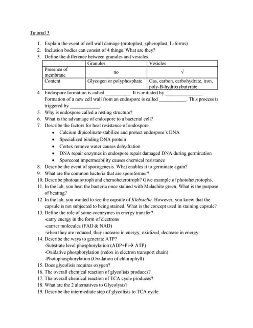 Test 3 result | DOCX
