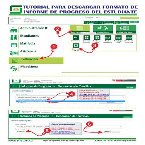 Tutorial para "Descargar del SIAGIE el formato de Informe de progreso ...
