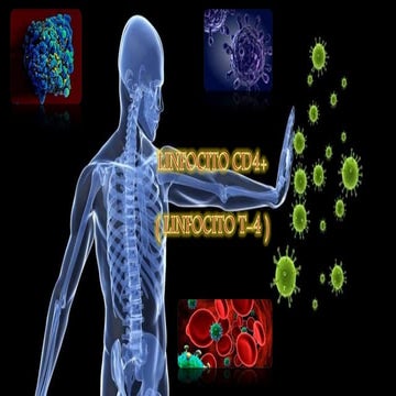linfocitos cd4 y su importancia en el sida | PPTX