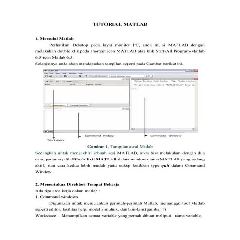 Tutorial Matlab Doc