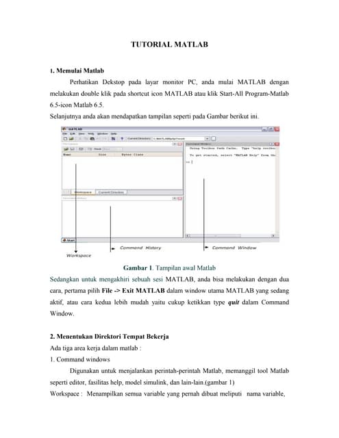 Tutorial Matlab Doc