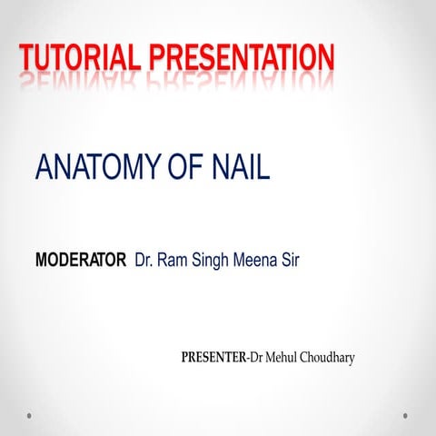 TUTORIAL NAIL.pptx
