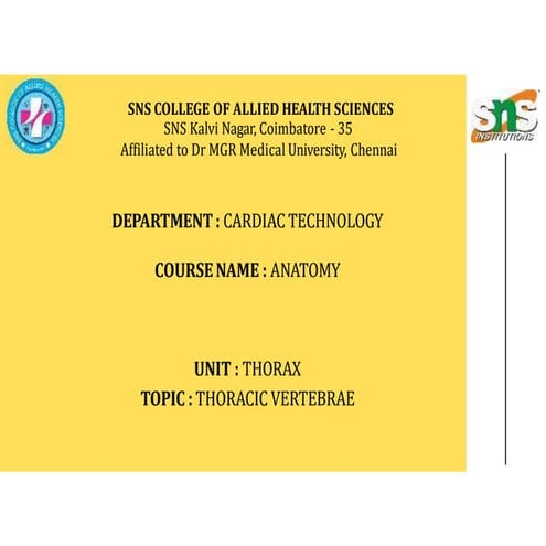 Comprehensive Anatomy of Thoracic Vertebrae: Structure, Function, and ...