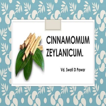 Cinnamon | PPTX