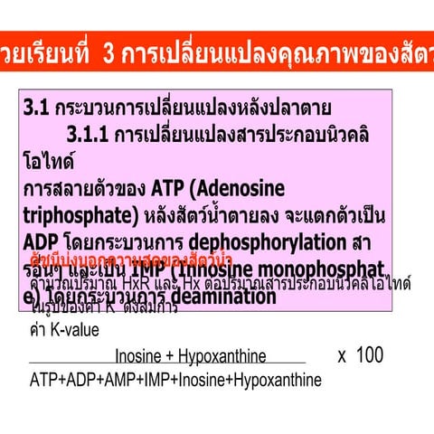 Tvb n-aquatic-03 | PPT