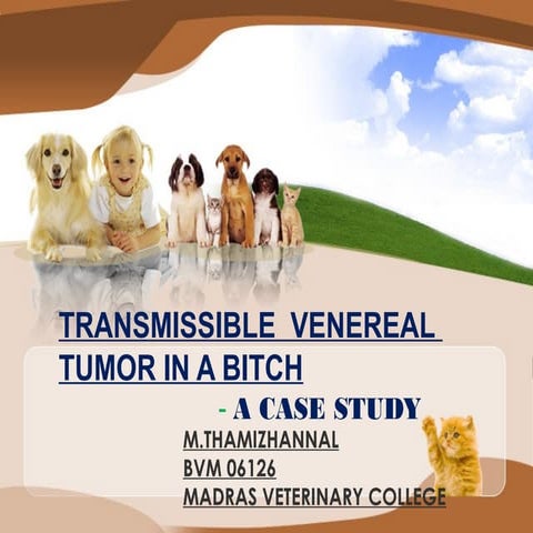 TRANSMISSIBLE VENEREAL TUMOR N DOGS | PPT