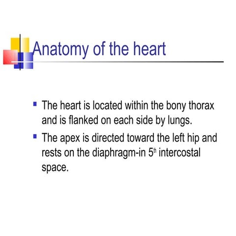 heart anatomy | PPT