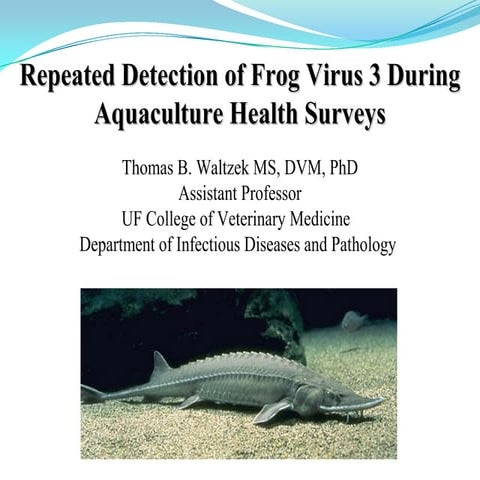 Repeated detection of frog virus 3 during aquaculture health surveys | PPT | Fish and Aquariums ...