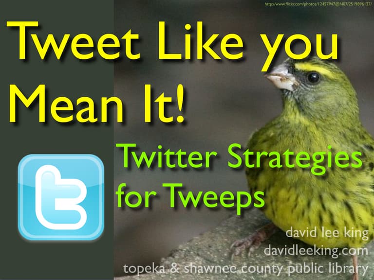 Tweet Like You Mean It! Twitter Strategies For Tweeps
