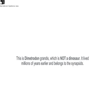 Tweets sent to Google via embed tweet.pptx