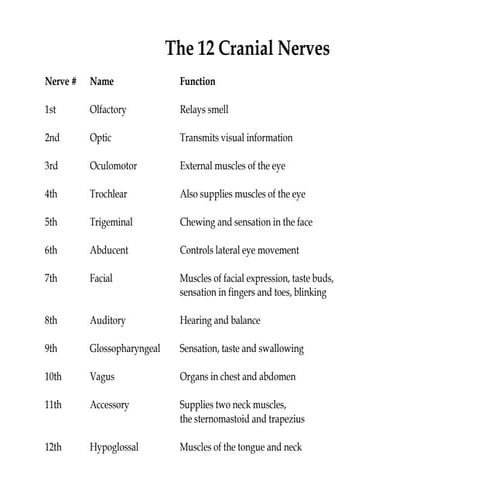 Twelve_Cranial_Nerves ppt are given below | PDF