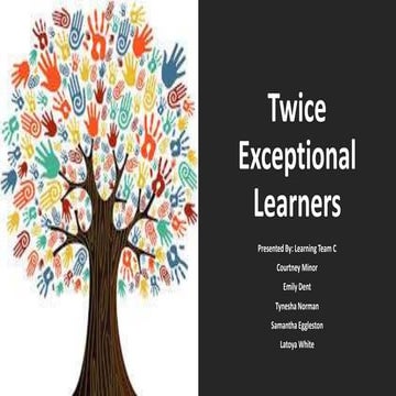 Twice exceptional learners | PPTX