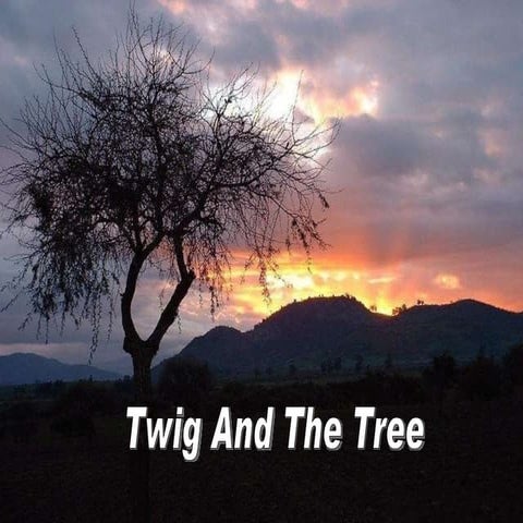 Twig And The Tree | PPT