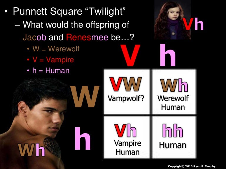 What Is A Punnett Square And Why Is It Useful In Genetics What Is A