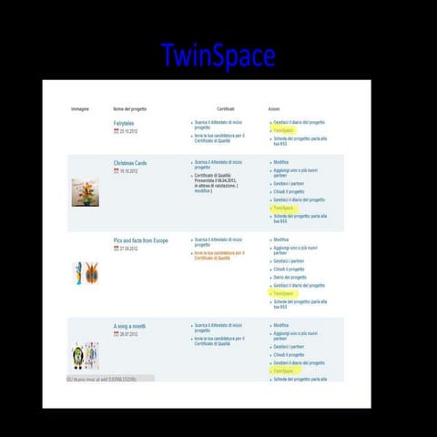 Twin space | PPT