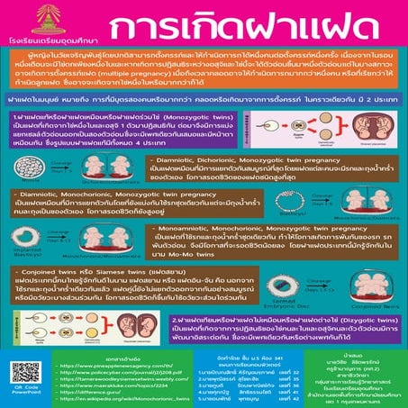Twins Poster-341 pre2 | PDF