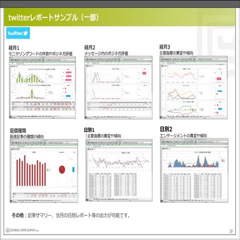 Twitter report | PDF