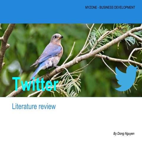 Twitter - literature reviews | PPT