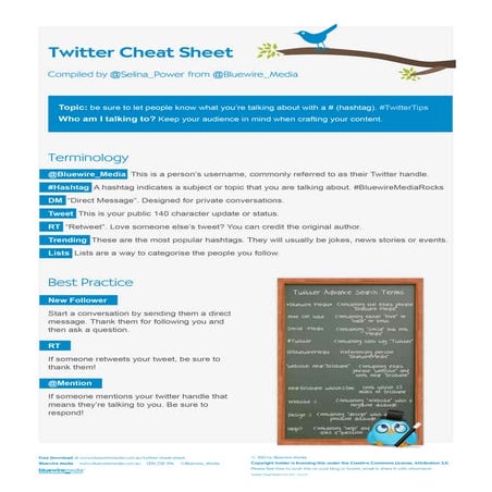 Twitter Update Presentation | PDF
