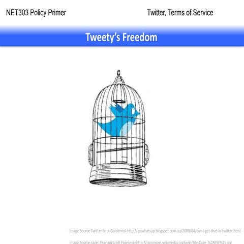 Twitter Terms of Service - Policy Primer | PPTX