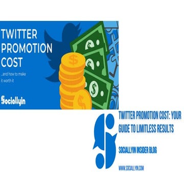 Twitter Promotion Cost | PPT