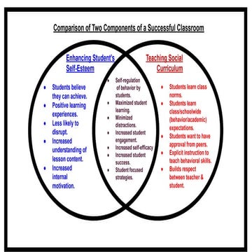 Two Components of a Successful Classroom | PDF