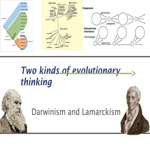 Two kinds of evolutionary thinking | PPT