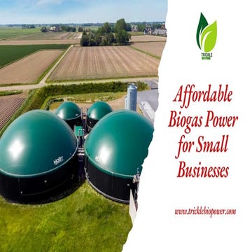Affordable Biogas Power: Clean Energy Within Your Reach | PDF