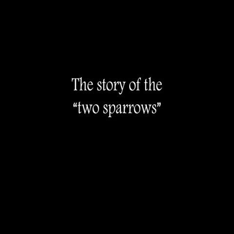 Two sparrows | PDF
