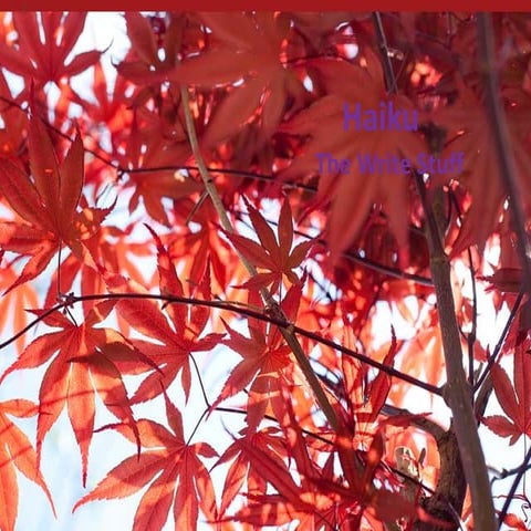 Introduction to Haiku | PPTX