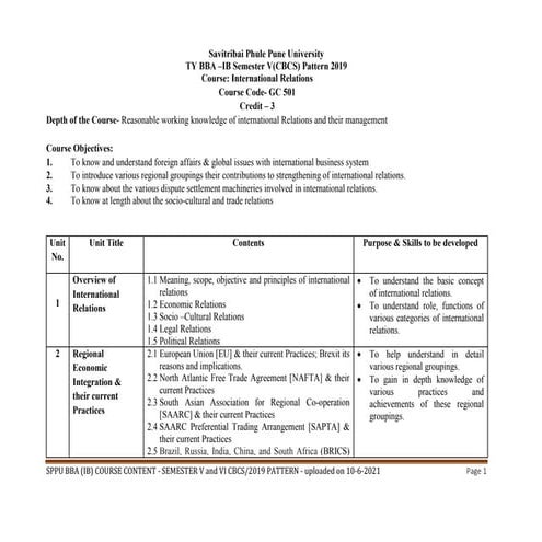 TY-BBA-IB.pdf the format to know about the summer project | PDF