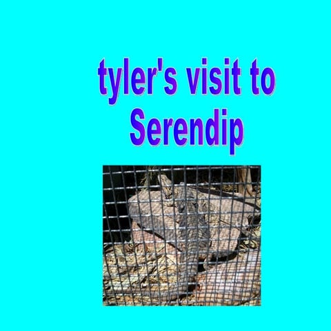 Tyler’s Turtle | PPT