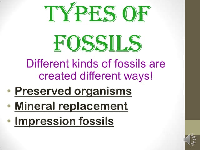 Fossils | PPT