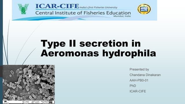 Bacterial secretion system and types .pptx