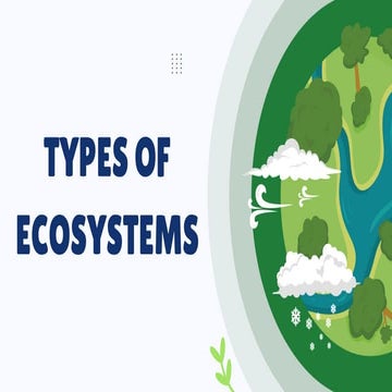 All the Type of Ecosystems, description and examples | PDF